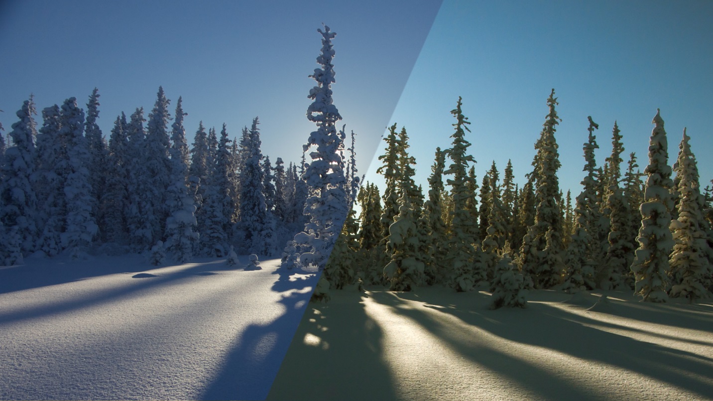 How To Use Color Editing Techniques In Your Images - ITS